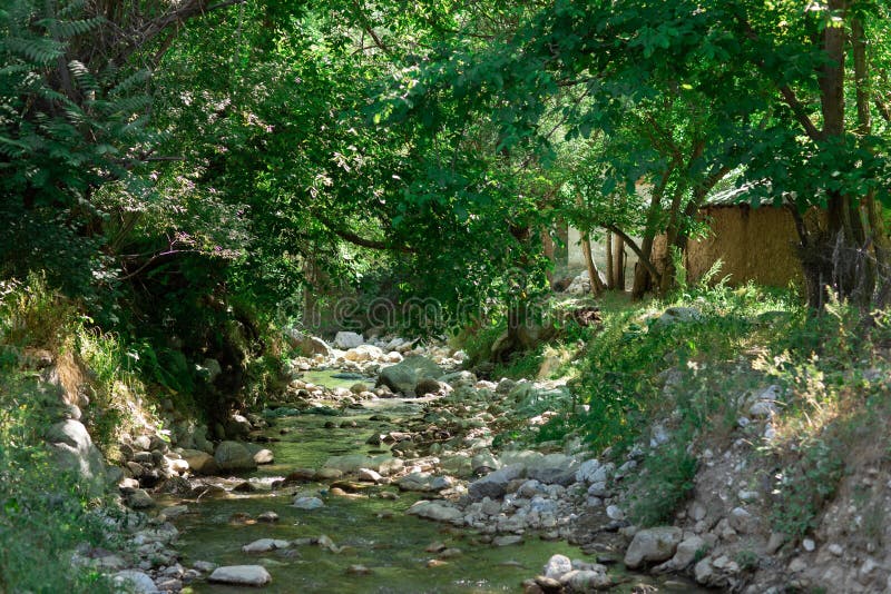 A Beautiful Corner in a Village: the Brook through the Village with ...