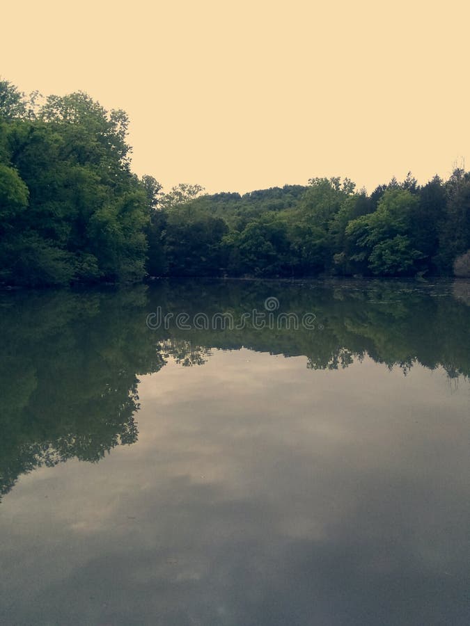 Beautiful Country Lakeside Views Stock Photo - Image of sunlight, tree ...