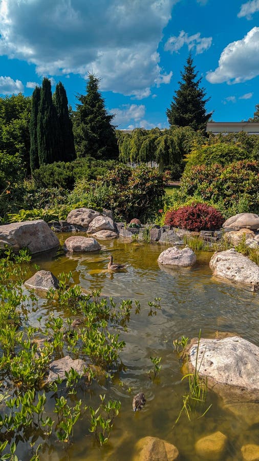 Beautiful country park stock image. Image of park, rock - 205292465