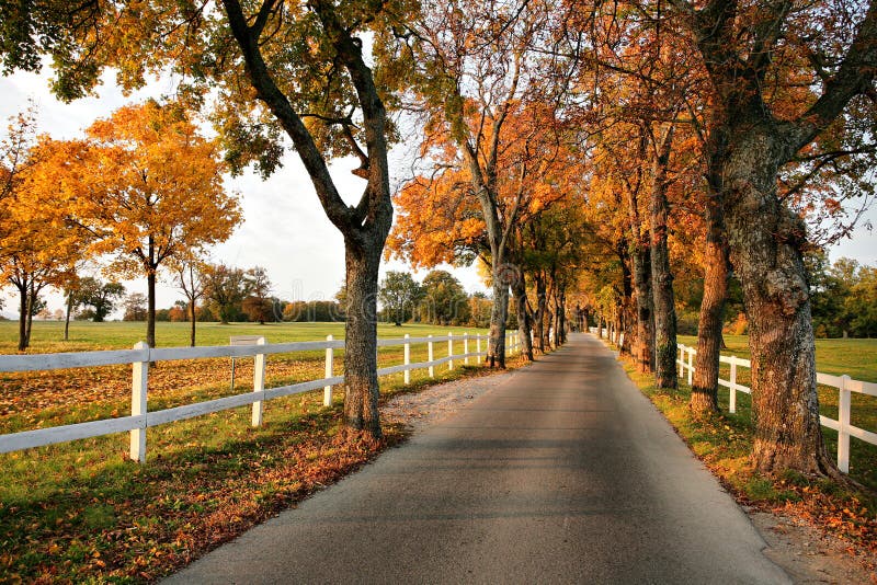 Beautiful Country Road in Autumn Stock Photo - Image of fence, concrete ...