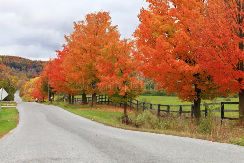 Beautiful Country Road in Autumn Foliage Stock Image - Image of ...