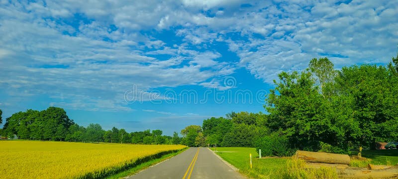 Beautiful Country Road during Summertime Stock Image - Image of nature ...