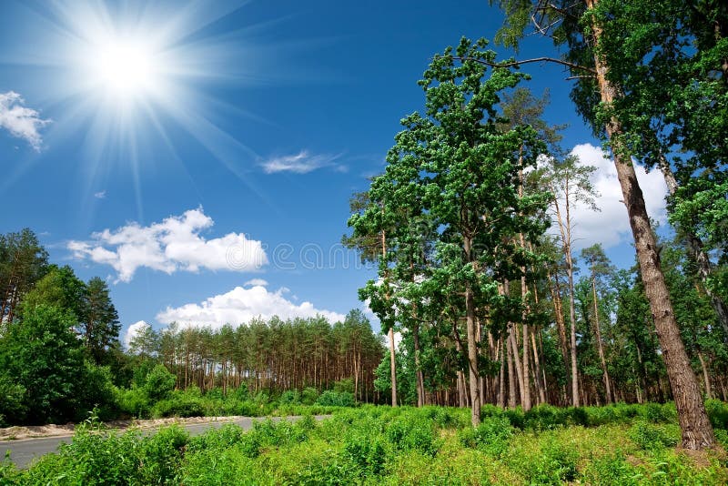 Beautiful Countryside Landscape Stock Photo - Image of landscape, path ...