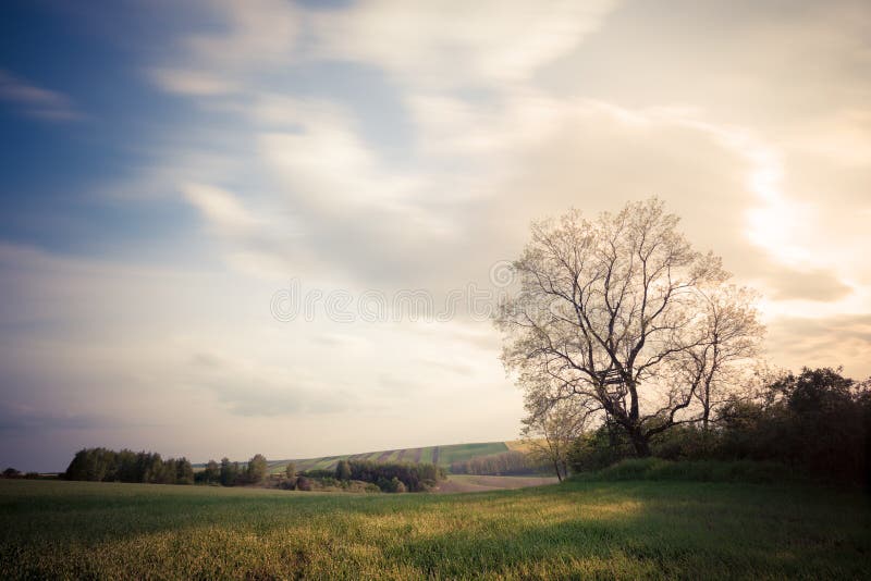 Beautiful Countryside Landscape Stock Image - Image of grassland ...
