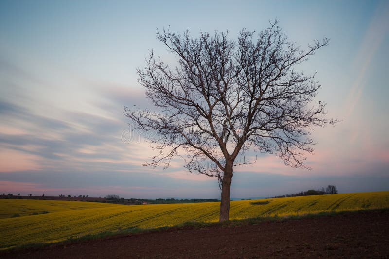Beautiful Countryside Landscape Stock Photo - Image of scenery, grass ...
