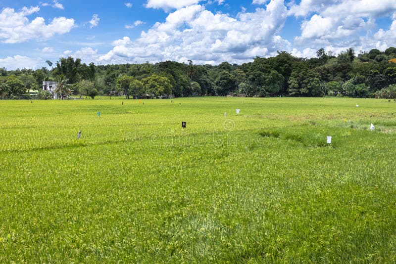 Beautiful Countryside Landscape View at the Philippines Stock Image ...