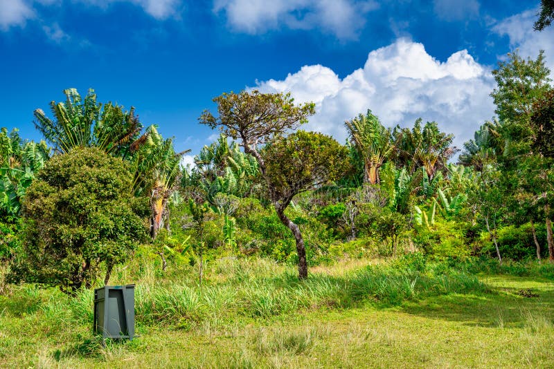 Beautiful Countryside of Mauritius Island Stock Photo - Image of ...