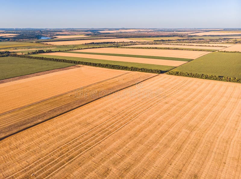 Beautiful Countryside Patchwork Pattern of Cultivated Landscape Stock ...