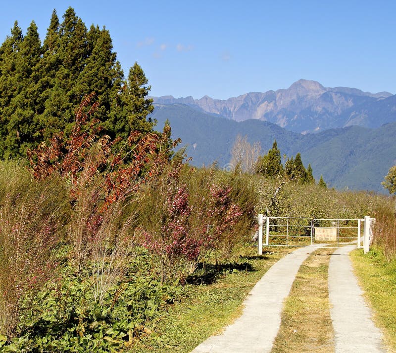 The Beautiful Countryside Road Stock Image - Image of path, forest ...