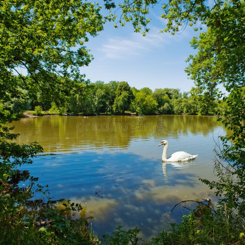Beautiful Countryside Scene Stock Photo - Image of blue, peaceful: 10879578