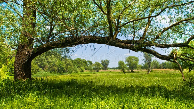 Beautiful Countryside Scene Stock Photo - Image of blue, peaceful: 10879578