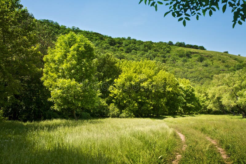 Beautiful Countryside Scene Stock Photo - Image of landscape, nature ...