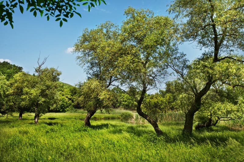 Beautiful Countryside Scene Stock Photo - Image of blue, peaceful: 10879578