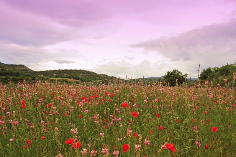 Beautiful Countryside in Spring Editorial Photography - Image of ...