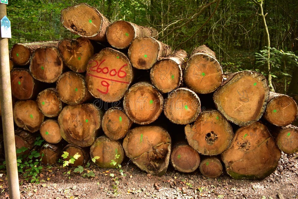 Beautiful countryside stock image. Image of trees, countryside - 106504097