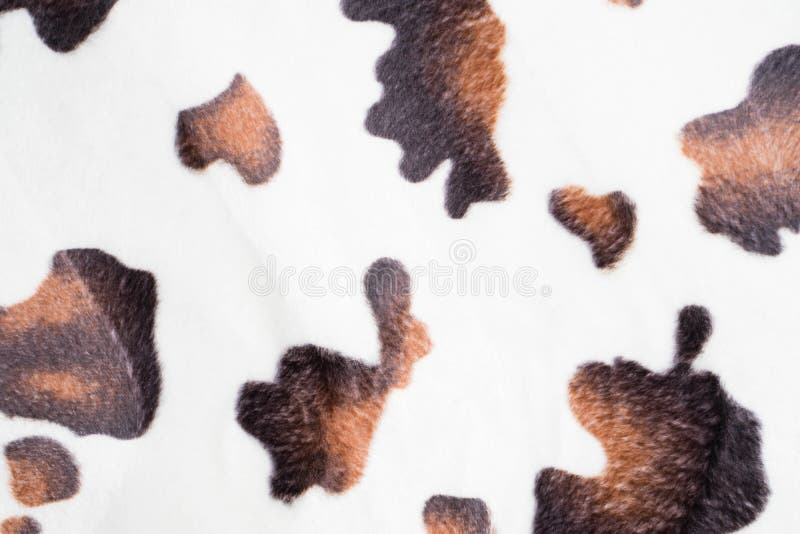Beautiful cow texture stock photo. Image of wild, skin - 133235924
