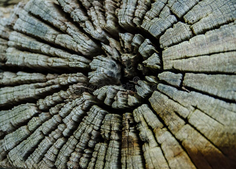 Cracked Patterns Of Soil Ground Texture Top View , Line Nature Drought ...