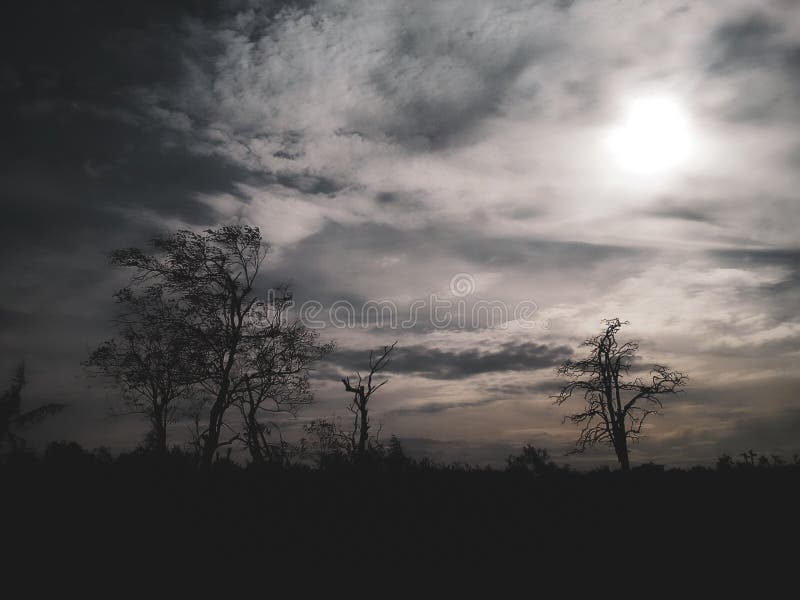 Beautiful Creation in the World Stock Image - Image of photograph ...