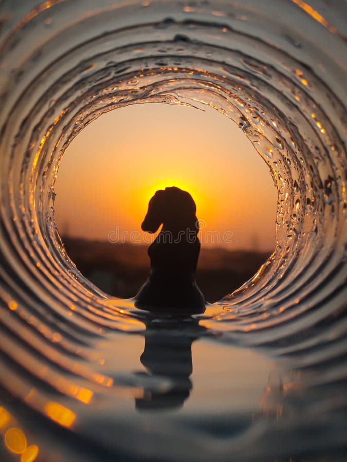 A Beautiful and Creative Picture Captured by Mobile Stock Photo - Image ...