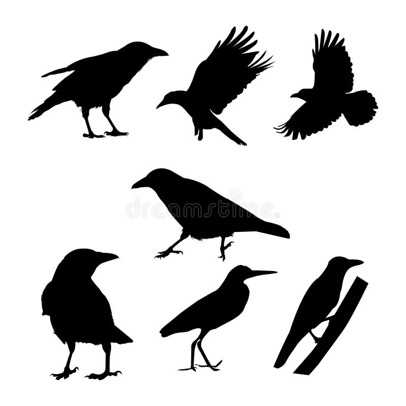 Beautiful Crow Dancing Silhouette Vector Art. Stock Vector ...