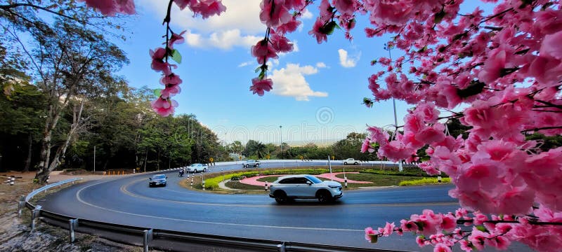 Beautiful curve road stock image. Image of pink, street - 310478905