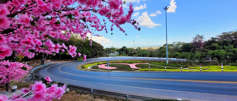 Beautiful curve road stock photo. Image of pink, road - 368446978