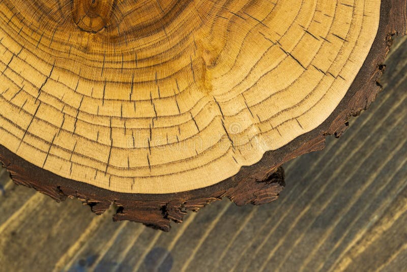 A Beautiful Cut of a Walnut Tree Processed for Decoration and Use Stock ...