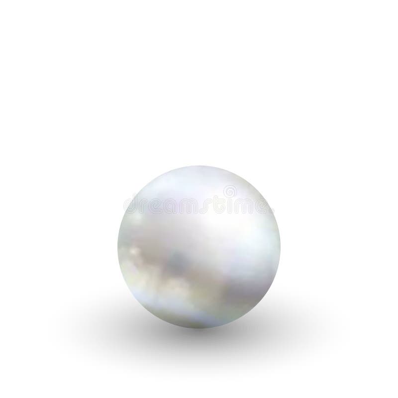 Beautiful 3D Shiny Natural White Pearl Vector Illustration Stock Photo ...