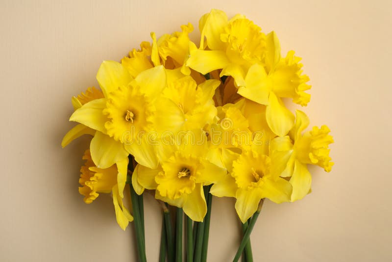 Beautiful Daffodil Bouquet on Beige Background, Top View Stock Photo ...