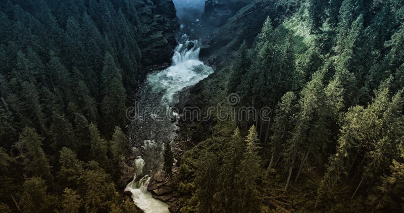 Beautiful Dark Forest with Waterfall Stock Photo - Image of outdoors ...