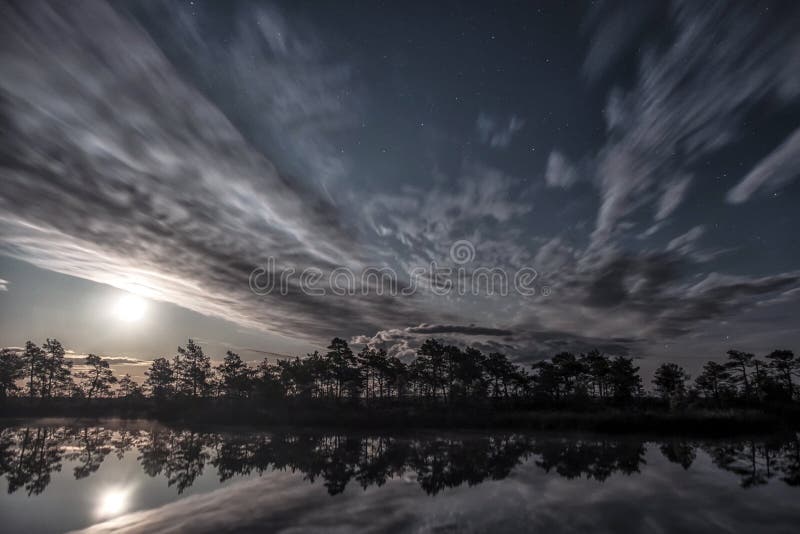 Beautiful dark night stock photo. Image of evening, tree - 162134246