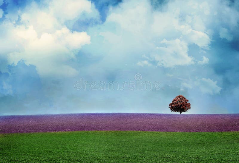 A beautiful day stock photo. Image of sunny, ecology - 44699068