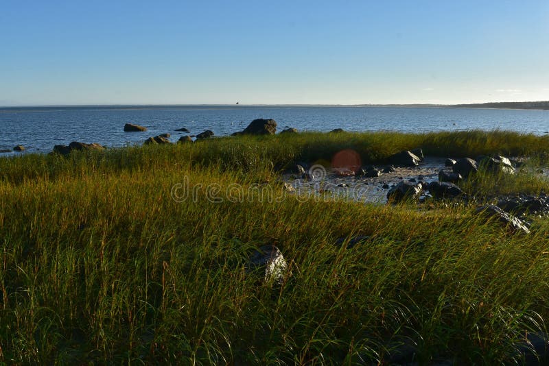 Beautiful Day on a Cape Cod Beach Stock Image - Image of northeast ...