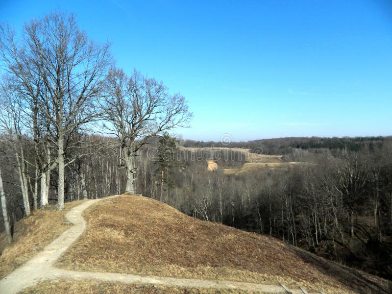 Beautiful Day Scene in the Park with Sun Rays Stock Image - Image of ...