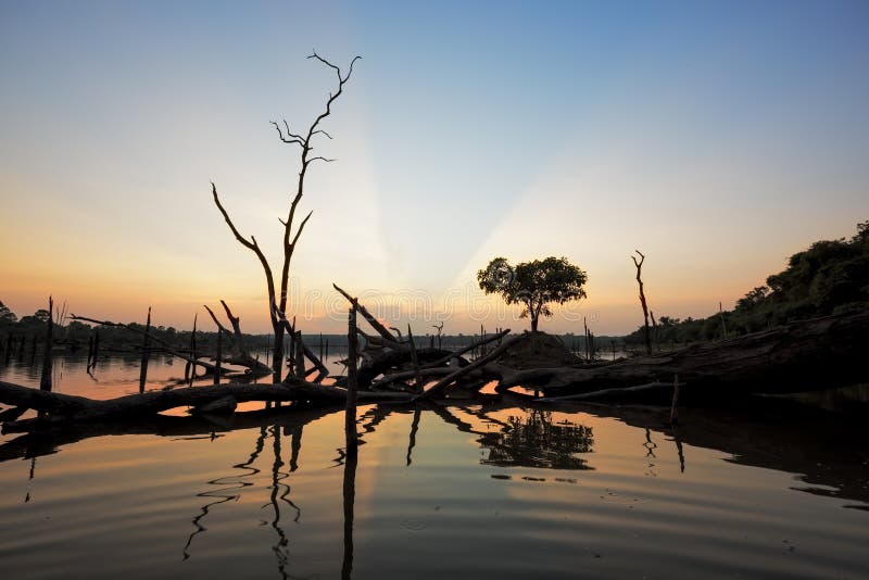 The Beautiful Dead Tree in Lake at Twilight Time Stock Image - Image of ...