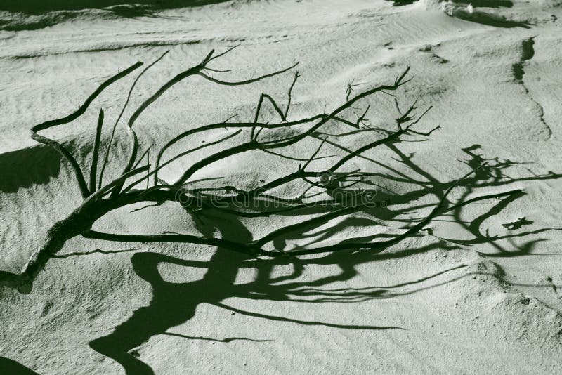 Beautiful death stock photo. Image of black, nature, creepy - 483490