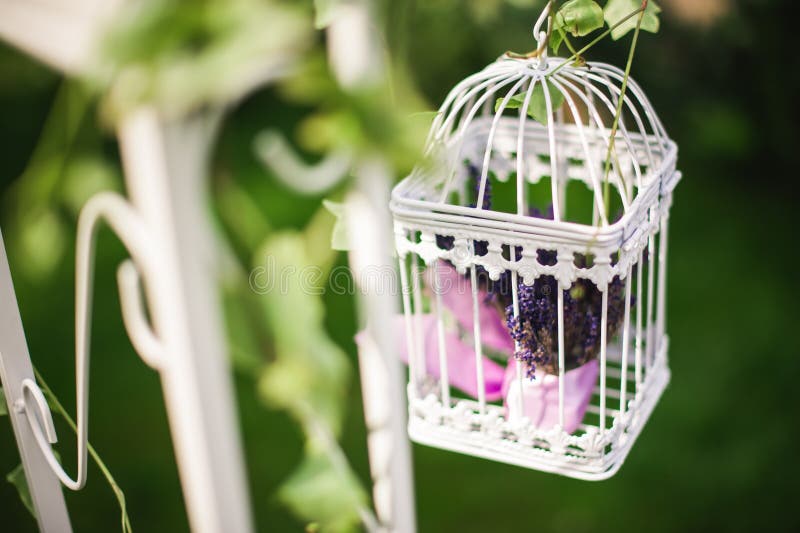 Beautiful Decorative Cage with Beautiful Flowers Stock Image - Image of ...