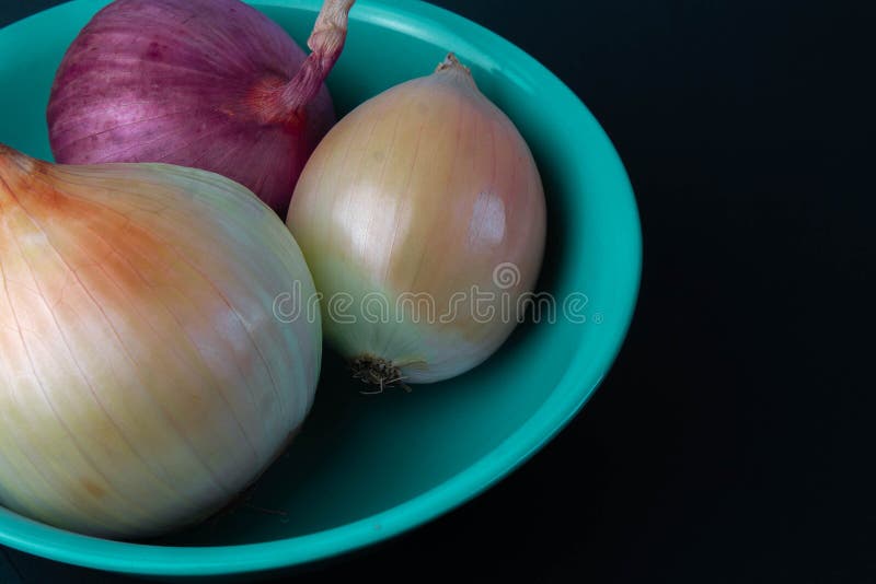 Decorative Onions El Bold Turquoise Stock Image - Image of bold ...