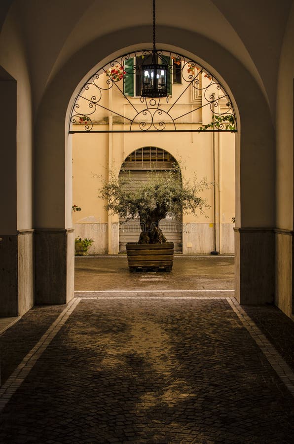A Beautiful Decorative Tree is in the Arch in the Courtyard Stock Image ...