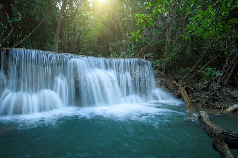 Beautiful Deep Forest Waterfall Stock Photo - Image of plant, forest ...