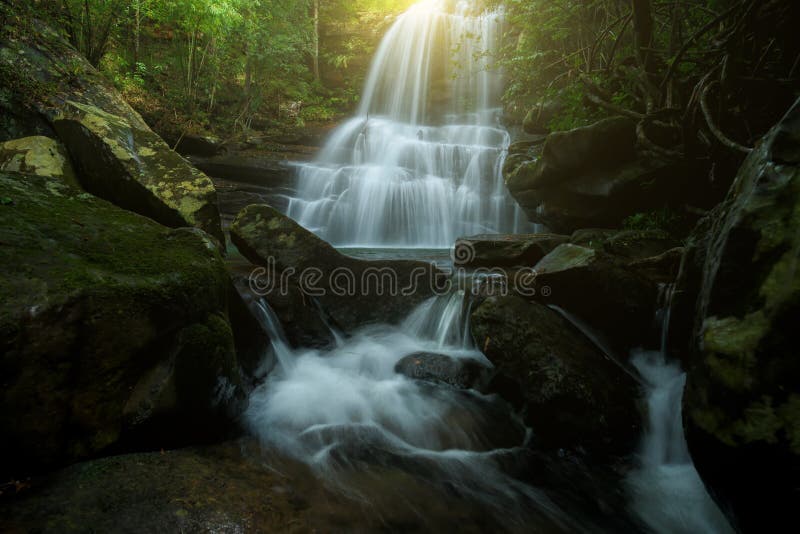 Beautiful Deep Forest Waterfall Stock Photo - Image of forest, amazing ...