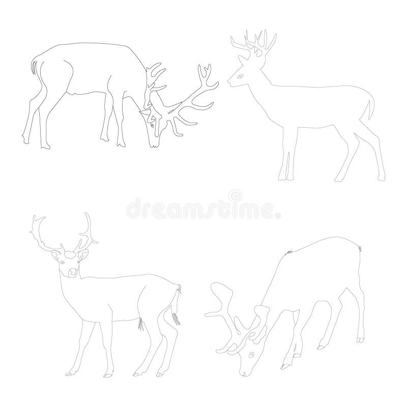 Beautiful Deer Line Art Vector File. Stock Vector - Illustration of ...