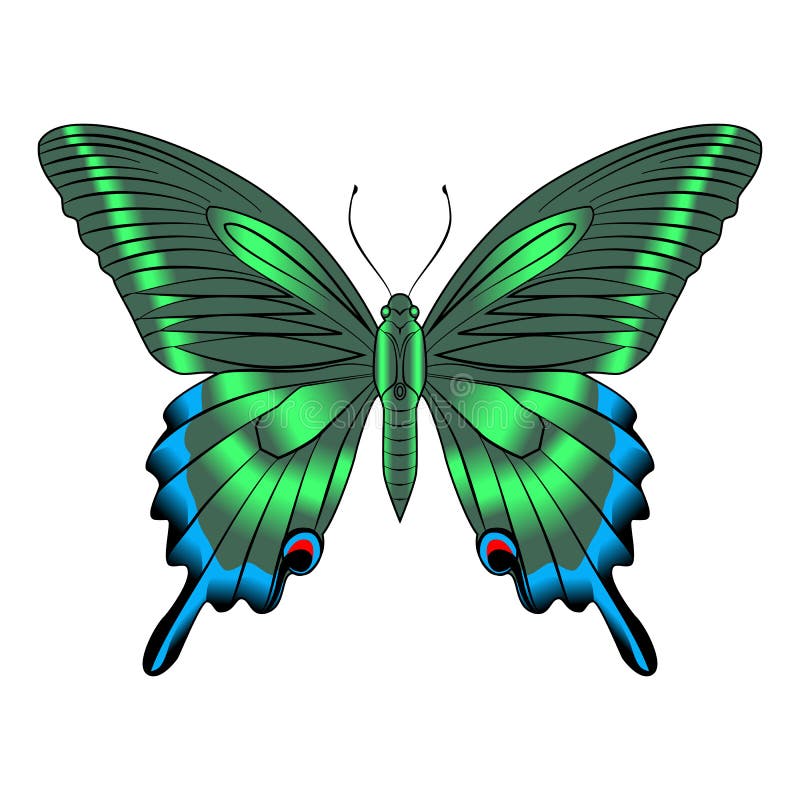 Airy Shadow Stock Illustrations – 457 Airy Shadow Stock Illustrations ...