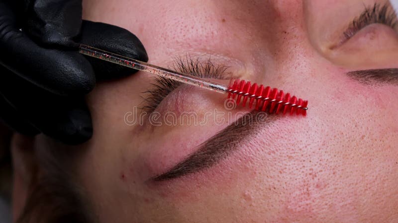 Beautiful Delicate Eyebrows after Permanent Makeup Master Brushes Them ...