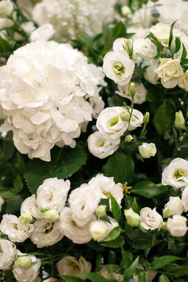 Beautiful and Delicate Flowers at the Wedding Ceremony Stock Photo ...