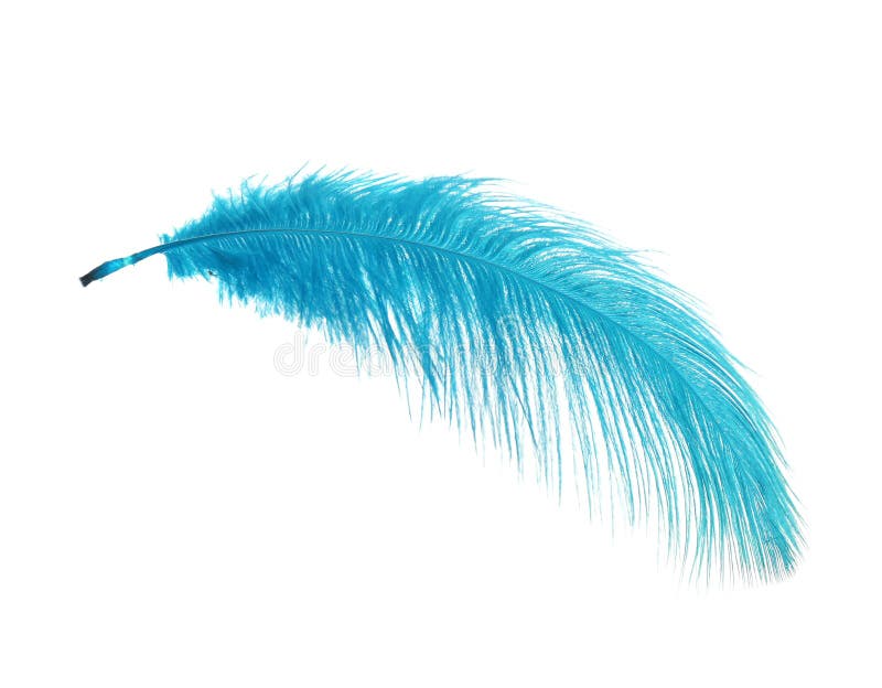 Beautiful Delicate Light Blue Feather Isolated on White Stock Photo ...