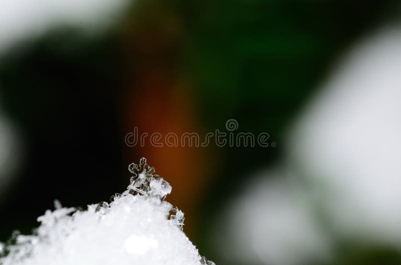 Beautiful Delicate Snow Crystal Stock Image - Image of clothing, lonely ...