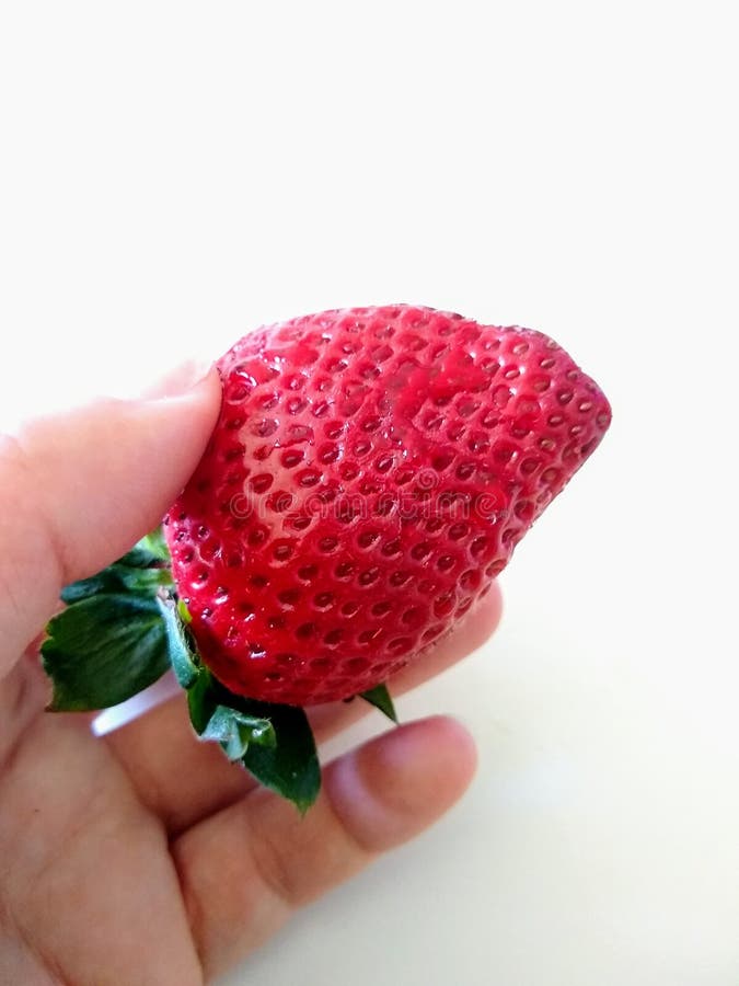 The Beautiful Delicious French Strawberry Stock Image - Image of ...