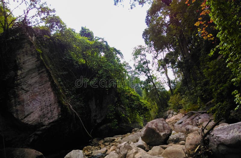 Beautiful Dense Forest Rocks Landscape View Stock Photo - Image of rock ...