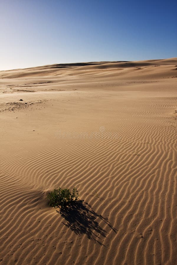 Beautiful desert landscape stock image. Image of adventure - 8068013